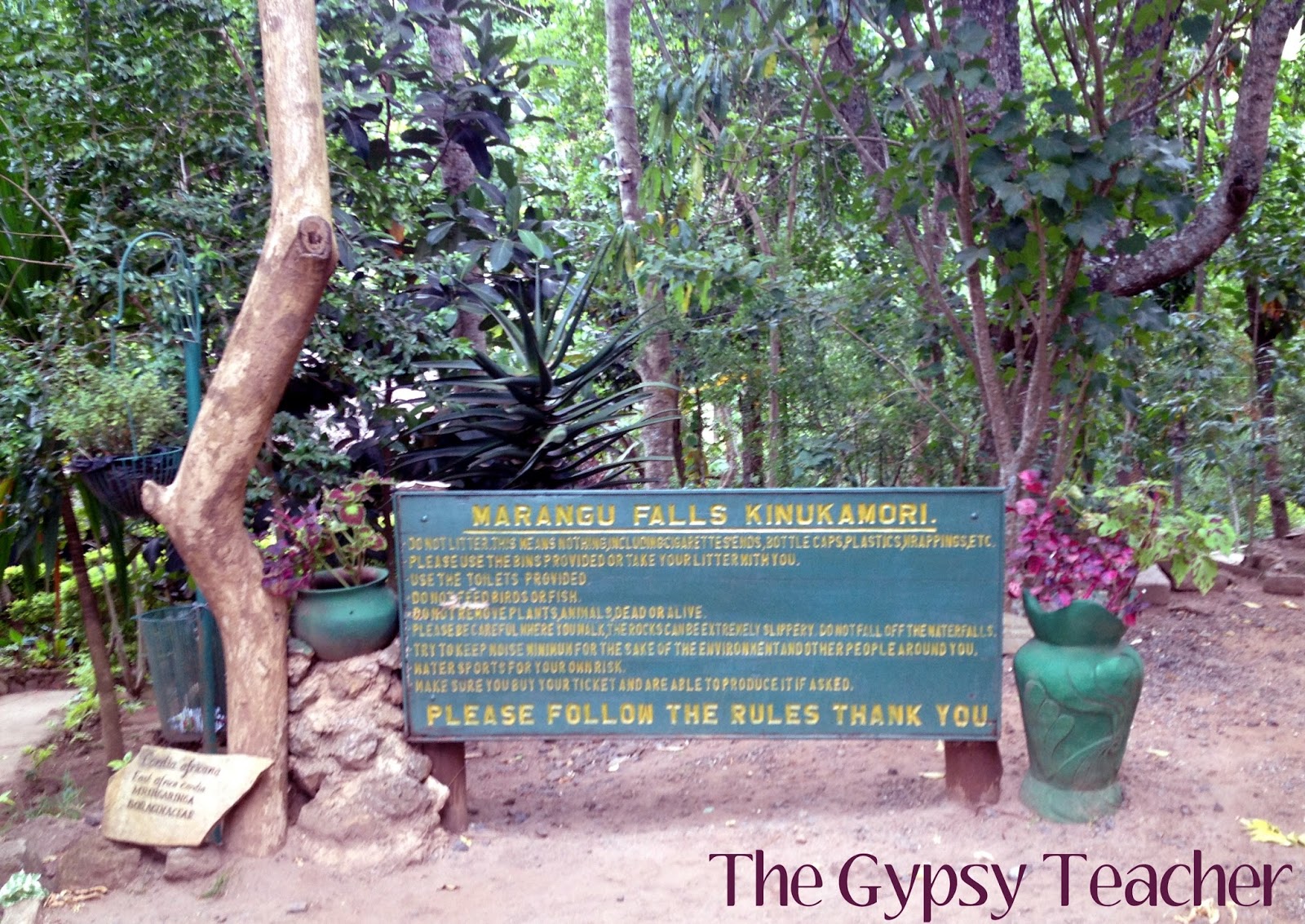 A Waterfall Adventure | Marangu Falls - The Classroom Community Copilot